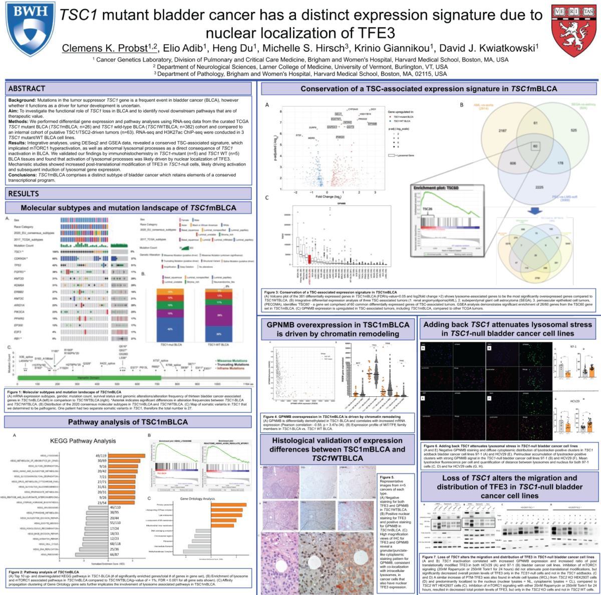 Explore Posters by Category – Poster Session